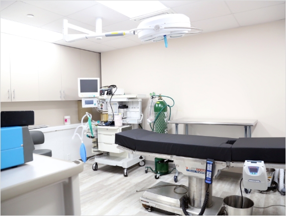 Dr. Gary Linkov Facial Plastic Surgeon | City Facial Plastics New York